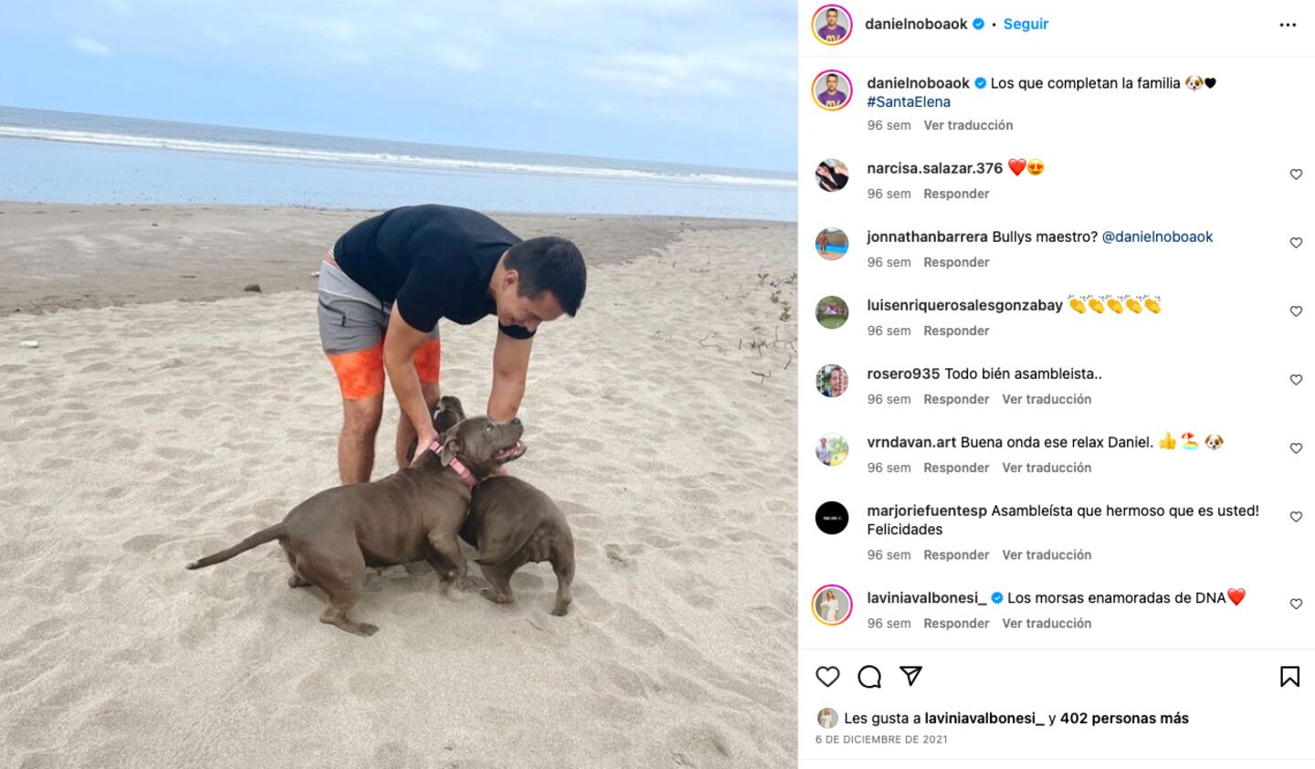 Mascotas presidenciales: Estos son los perritos de Daniel Noboa – Metro ...