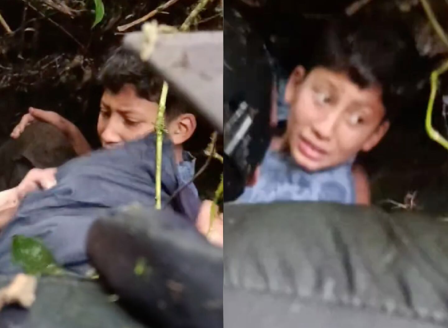 Lo que se sabe de Jachi, el perrito que cuidó a Lucas Campaña en el ...