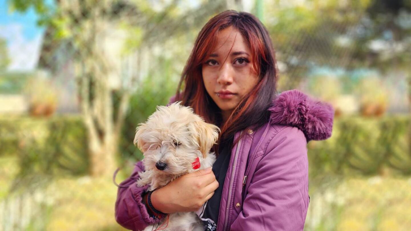 La violencia interrelacionada: Un vínculo oculto entre el maltrato ...