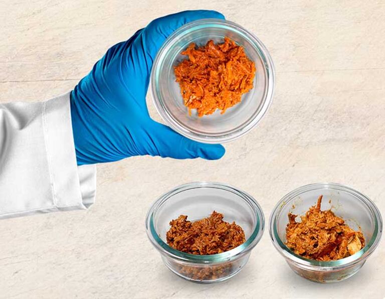 Estas son las enfermedades que puedes contraer por consumir comida en ...