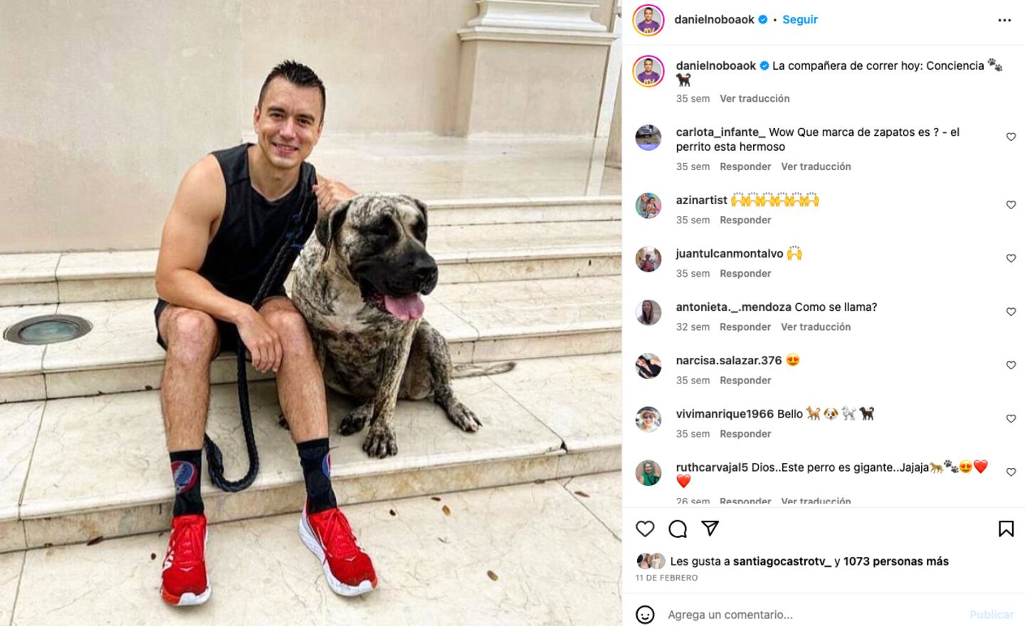 Mascotas presidenciales: Estos son los perritos de Daniel Noboa – Metro ...