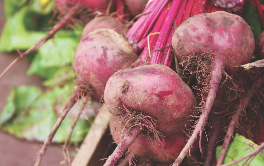 5 verduras saludables que siempre debes de consumir – Metro Ecuador