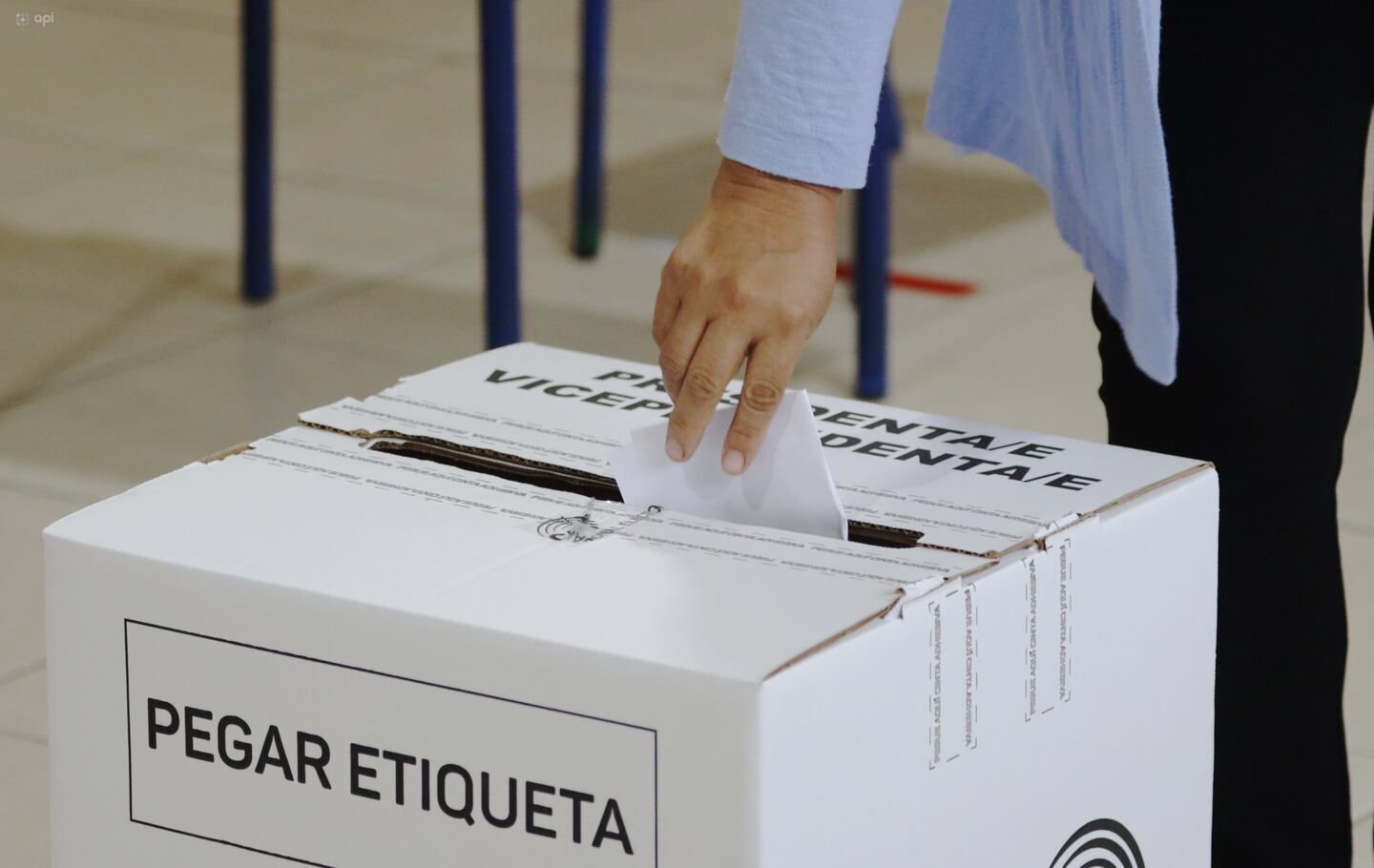 CNE aprueba calendario y declara el inicio del proceso electoral de las ...