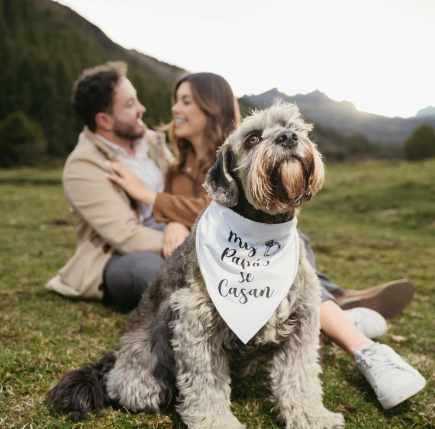 Josh Paredes, de MasterChef Celebrity Ecuador, anunció su compromiso – Metro Ecuador