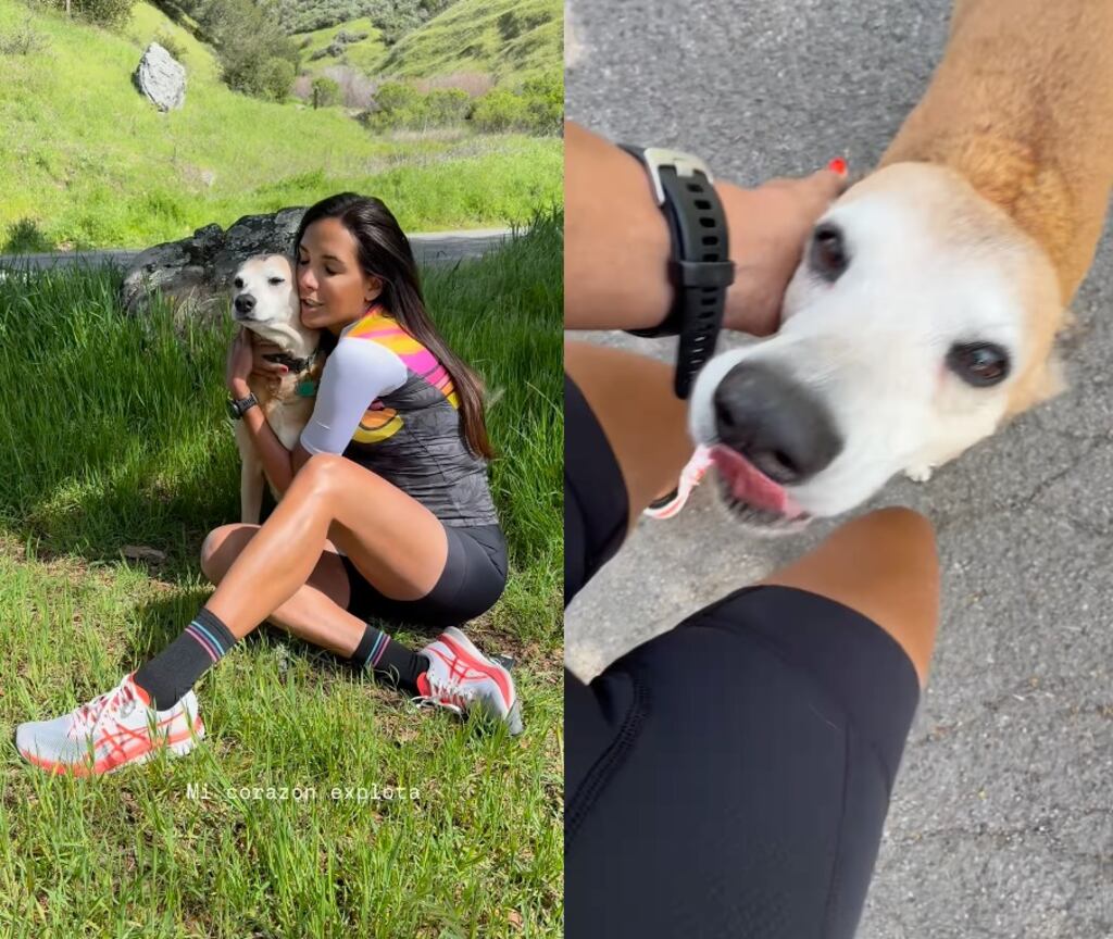 “La Flaca” Guerrero se reencuentra con Pinchi, su perrito rescatado ...