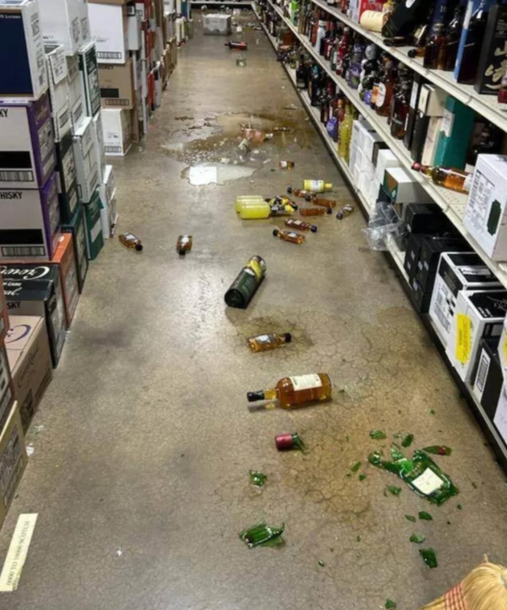 Mapache borracho causa destrozos y es rescatado en Ashland – Metro Ecuador